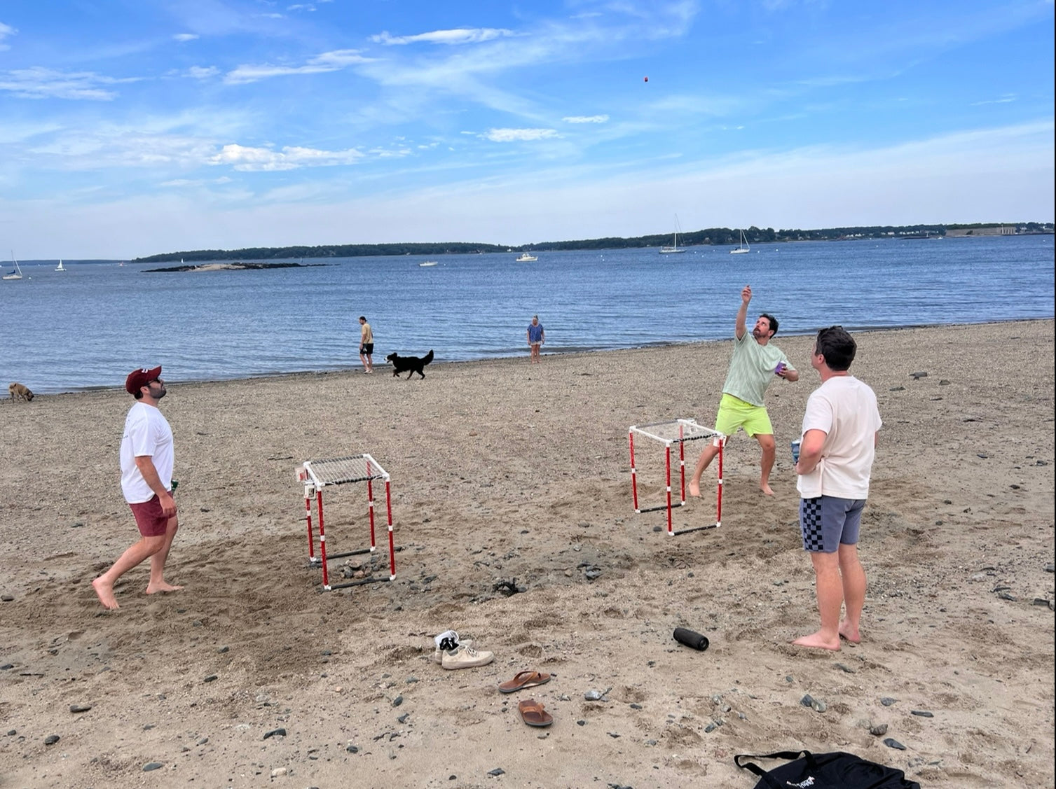 Best beach games for adults to play at the beach - Dice Toss – DiceToss